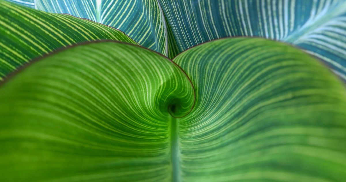 FTSE All-World Index Futures